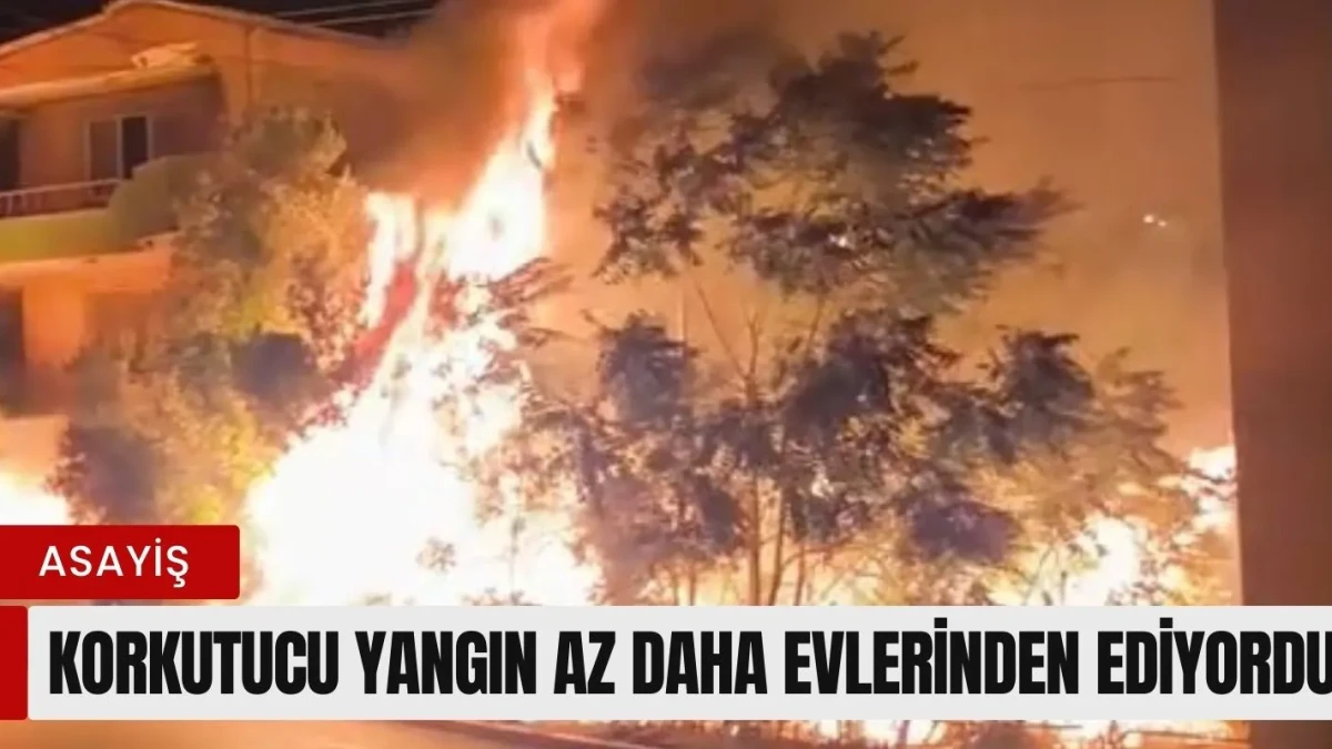 Korkutucu yangın az daha evlerinden ediyordu!